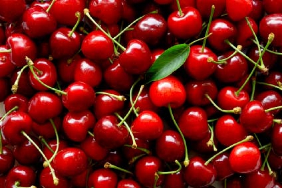 Place an Order | Fresco Produce | Perth/Mandurah